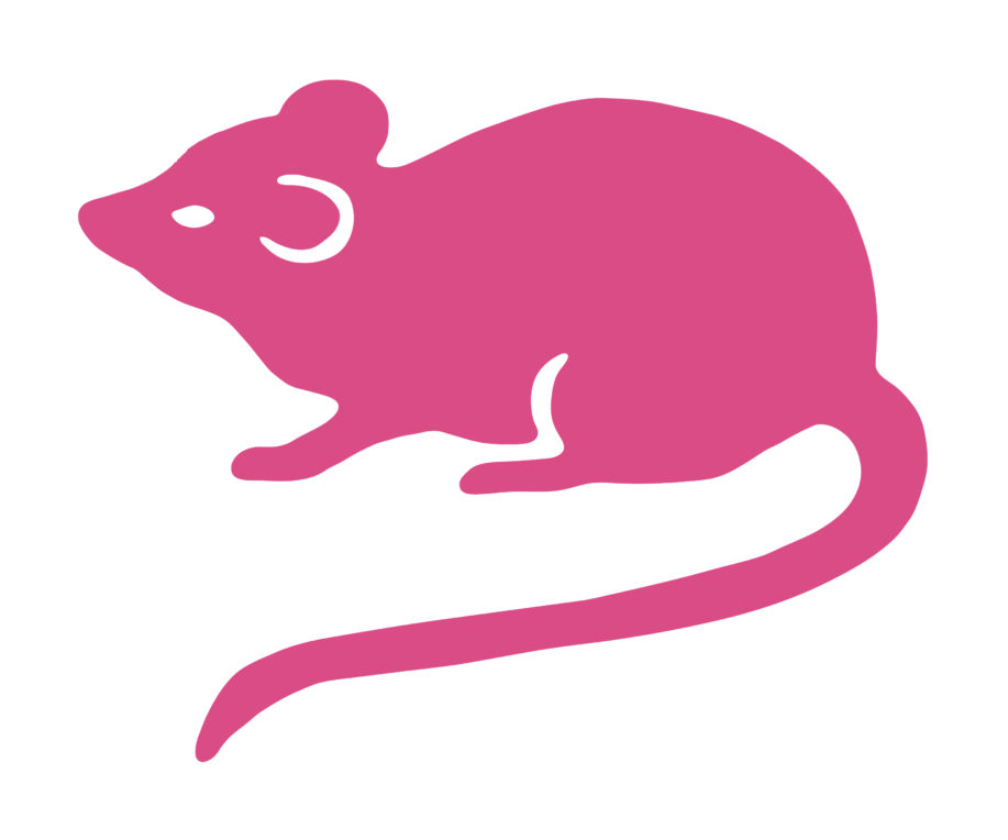 Do you ever have to rat yourself out? It may sometimes help... | The ...